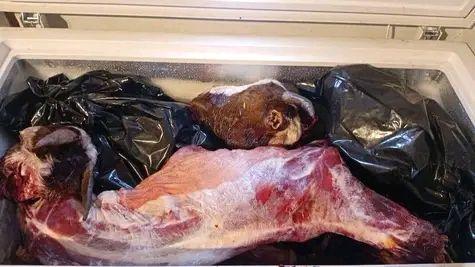 2025 Carcasses goats for sale in Windhoek - Meat - Kalahari Deals Namibia