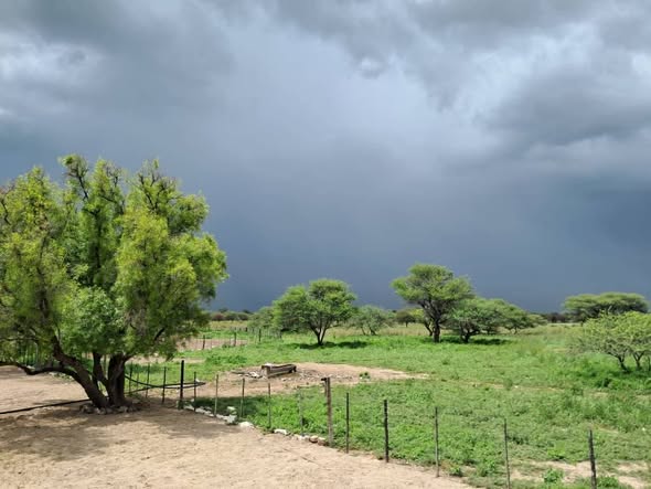 Farm for sale in Outjo for sale in Outjo - Agricultural Plots & Farms ...
