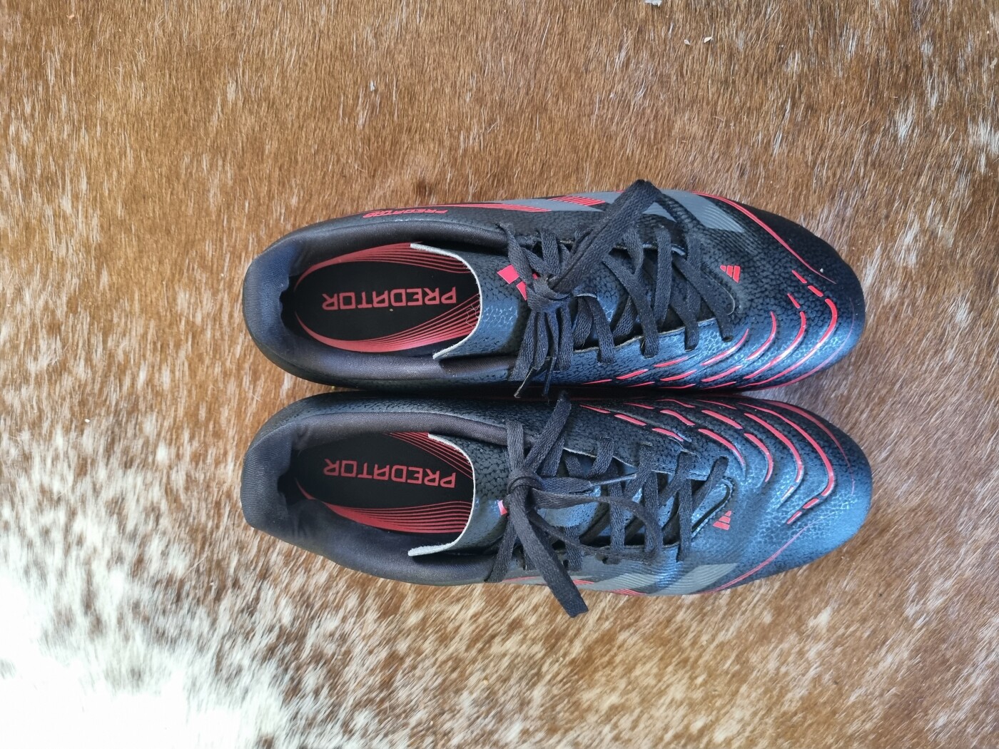 Adidas predators rugby boots for sale in Okahandja - Fitness Clothing ...