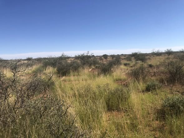 Namibian Farm For Sale for sale in Windhoek - Agricultural Plots ...