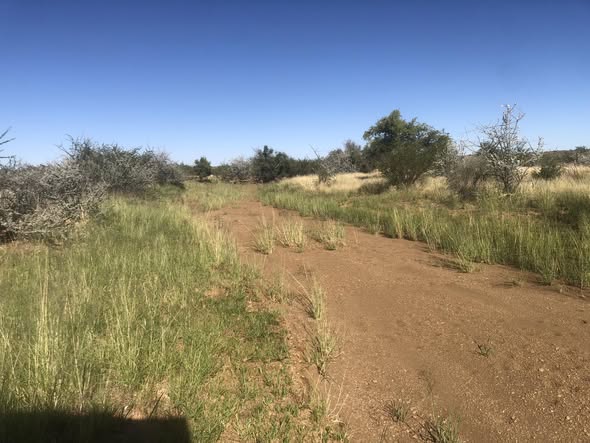 Namibian Farm For Sale for sale in Windhoek - Agricultural Plots ...