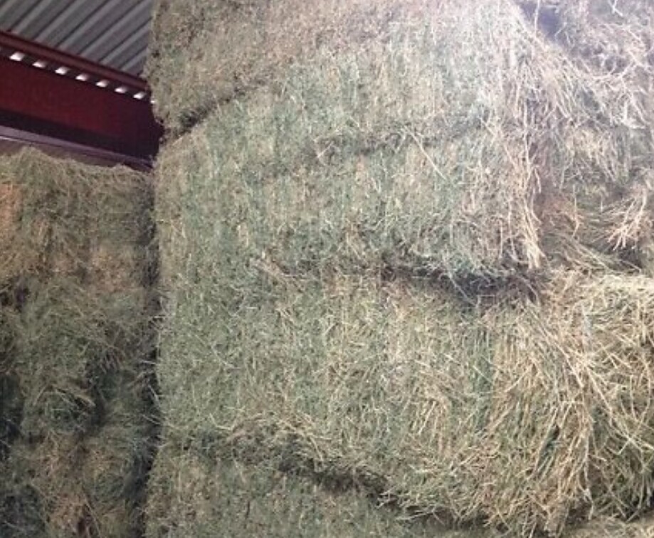 Grass Bales for sale in Omaruru - Animal Feeds - Kalahari Deals Namibia