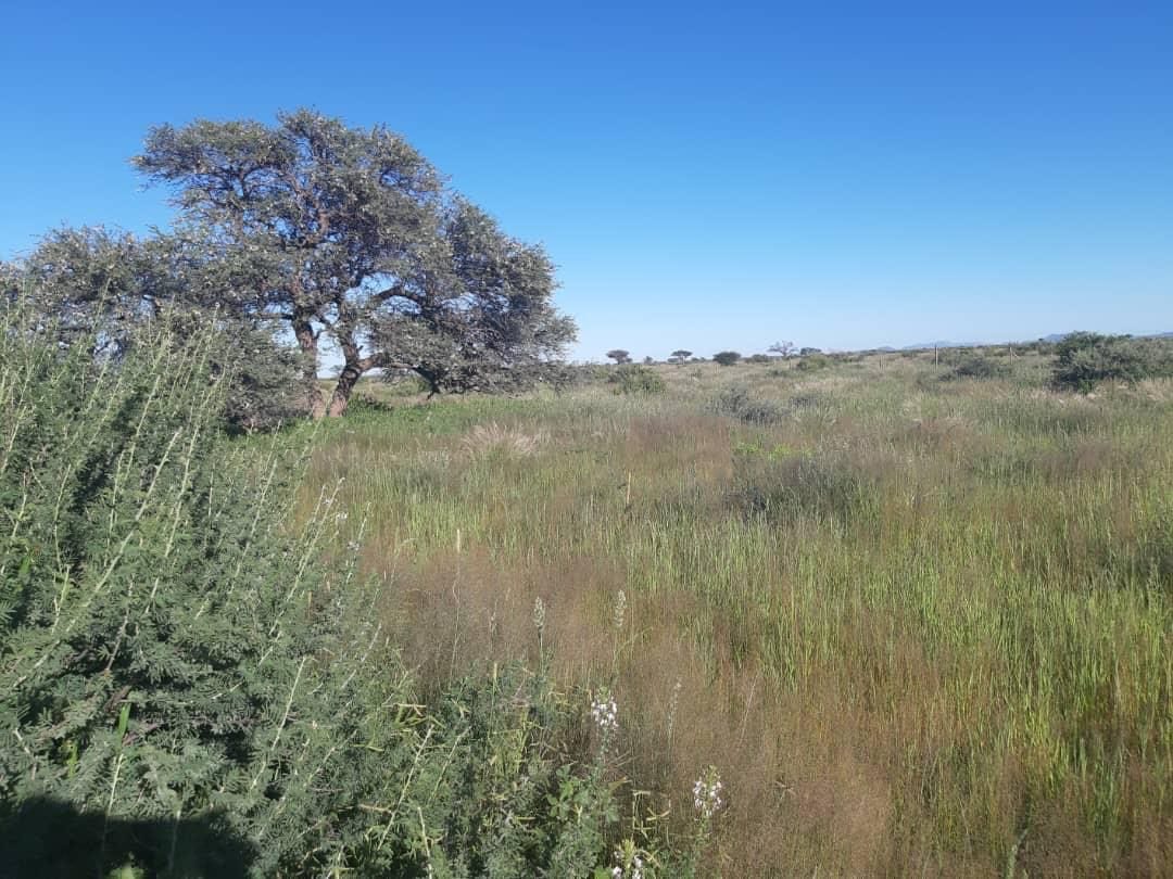 Farm for sale for sale in Windhoek - Agricultural Plots & Farms ...