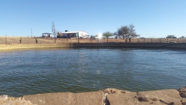 Beautiful Farm for sale in Windhoek - Agricultural Plots & Farms ...