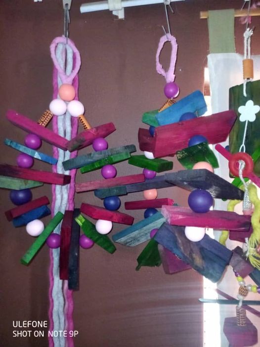 Parrot Toys for sale in Windhoek - Pet Supplies - Kalahari Deals Namibia