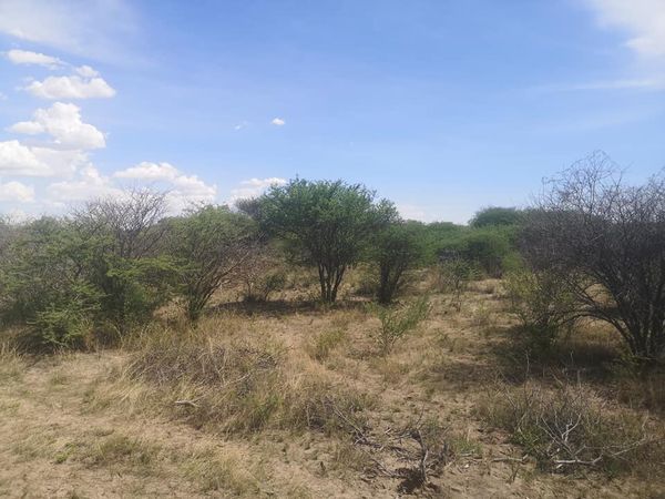 Farm for rent for sale in Windhoek - Agricultural Plots & Farms ...