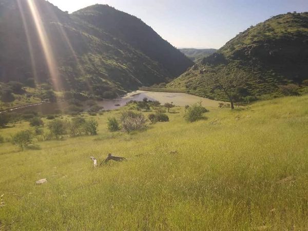 Cattle Farm For Sale for sale in Windhoek - Agricultural Plots & Farms ...