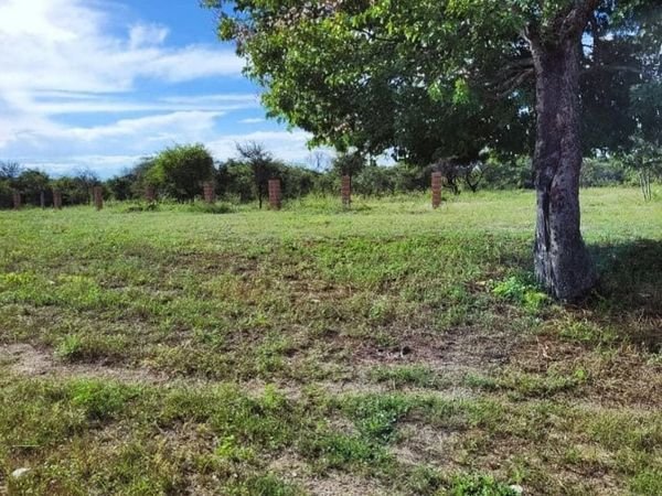 Plot For Sale 1 Hectare for sale in Rundu - Agricultural Plots & Farms ...