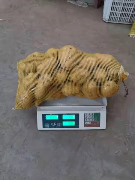 Potatoes,cabbage and carrots onions,butternuts and tomatoes for sale in ...