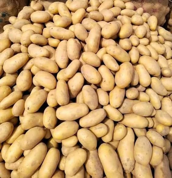 Potatoes,cabbage and carrots onions,butternuts and tomatoes for sale in ...